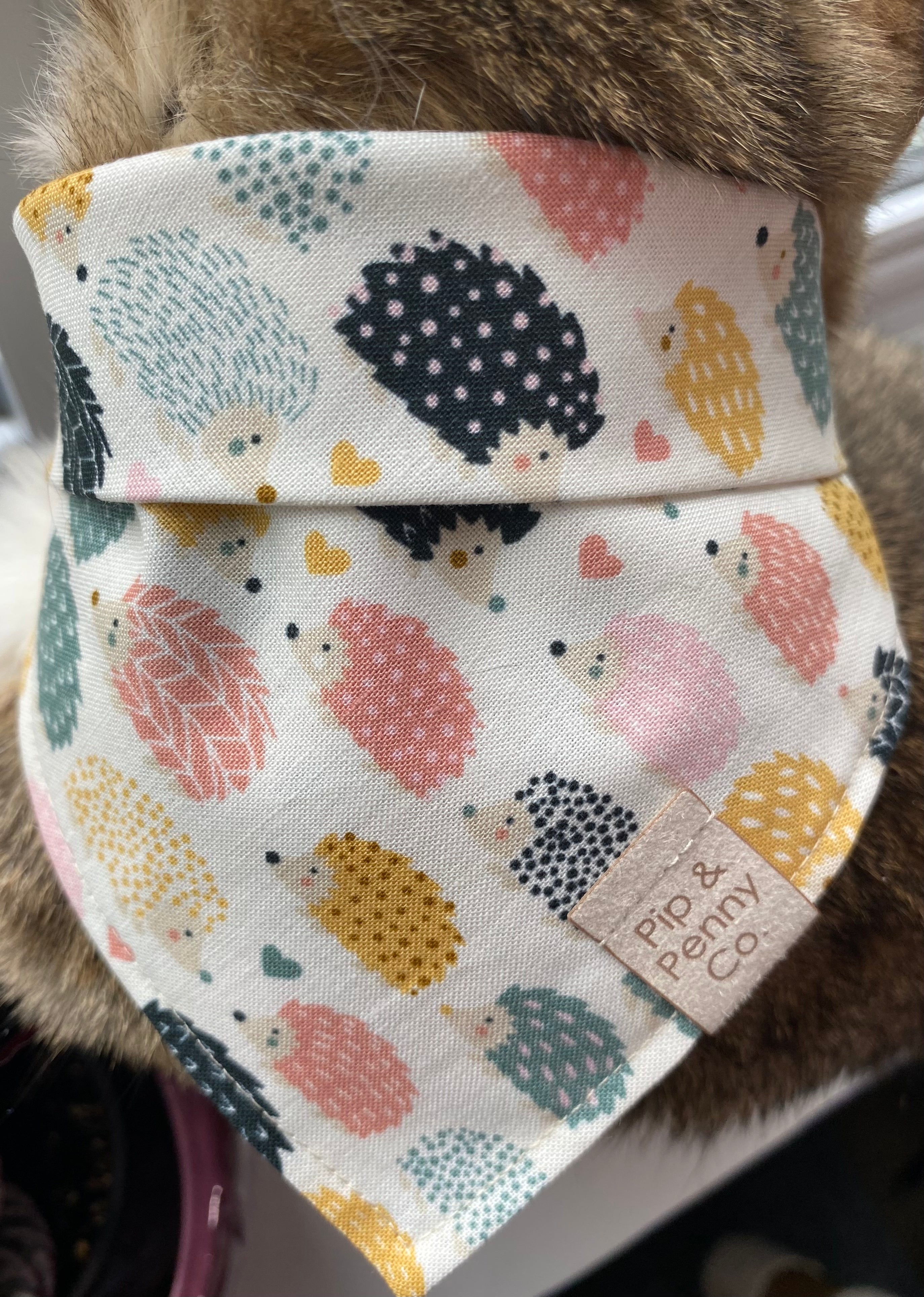 Summer Lovin’ - Hedgehogs – Pip & Penny Co